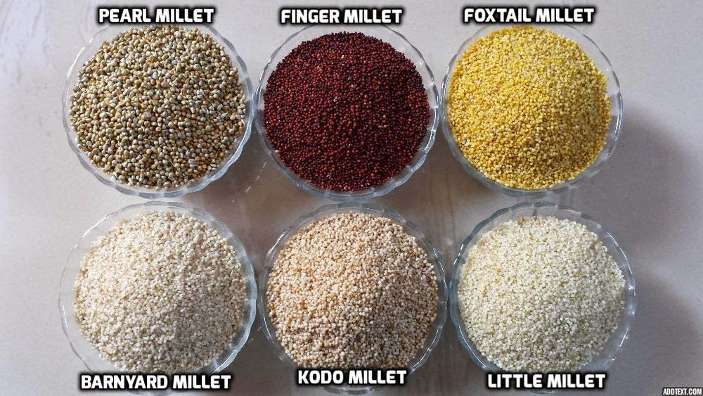 Millets – Kuruvi Spice